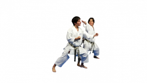 Les avantages et inconvénients du Sen no sen et Go no sen en karaté ...